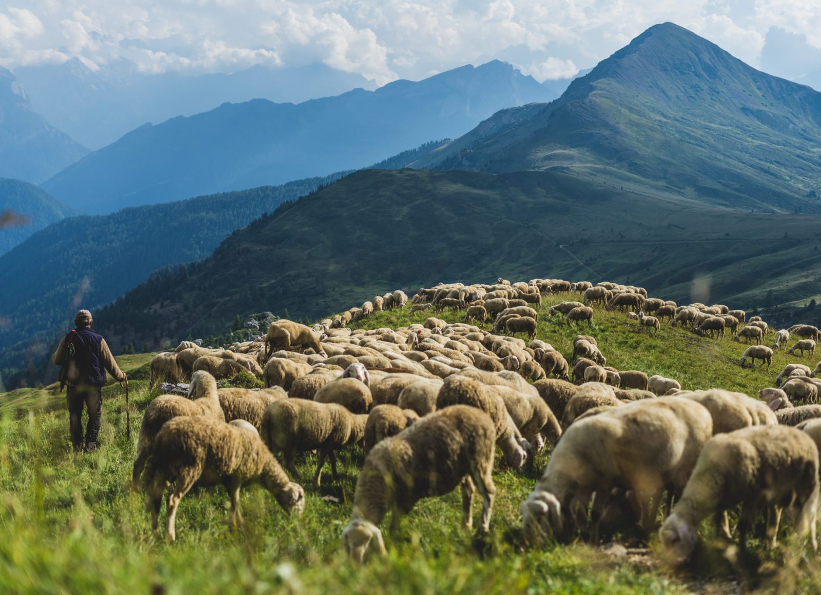 Claire Guyat - Bourse d'alpage et de pâturage